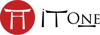 IT1, a division of n.p.minerva inc.